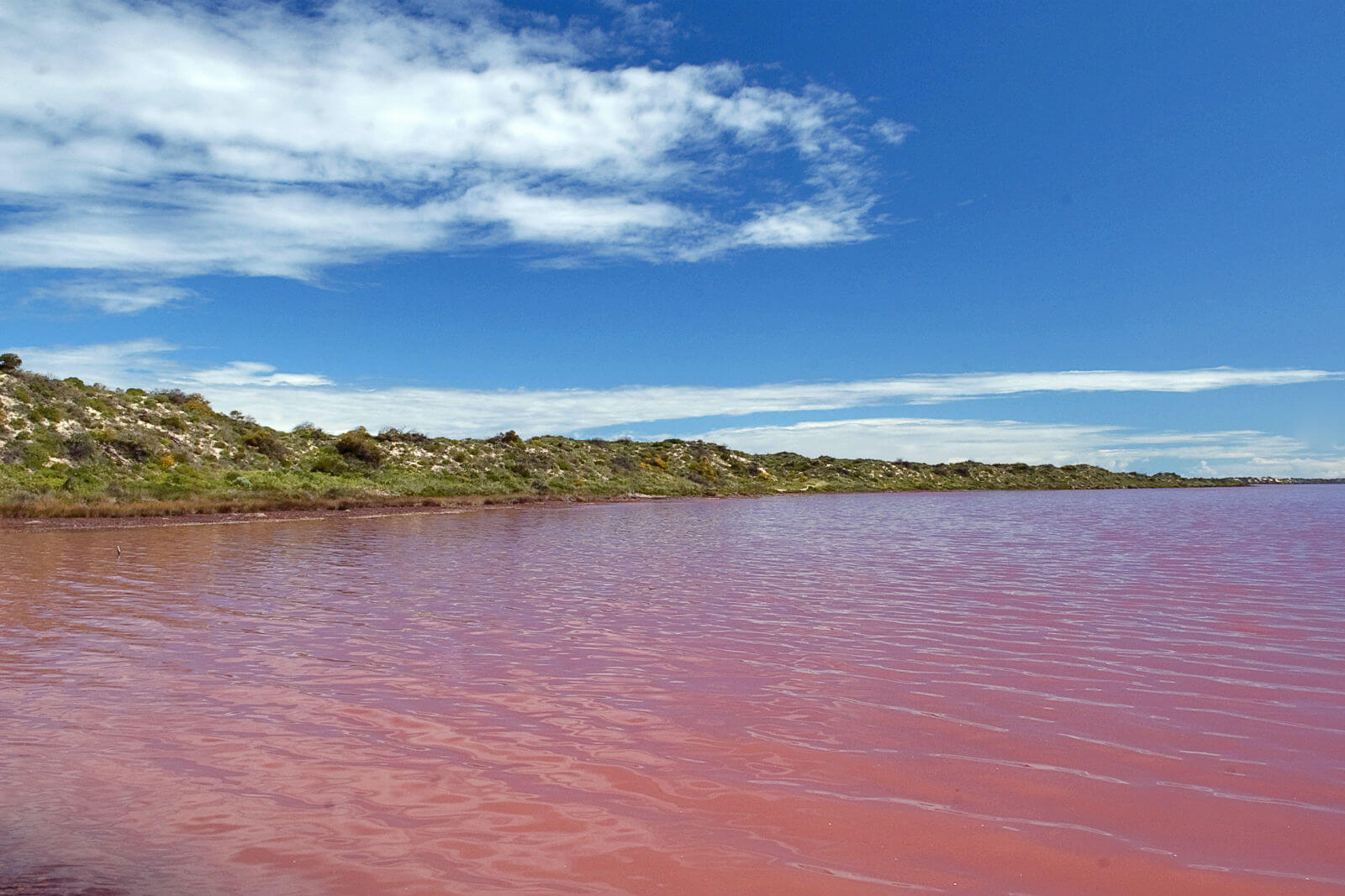 西澳粉紅湖+阿布洛霍斯群島觀光飛行之旅 TWD 10,863起 | Jourtrip