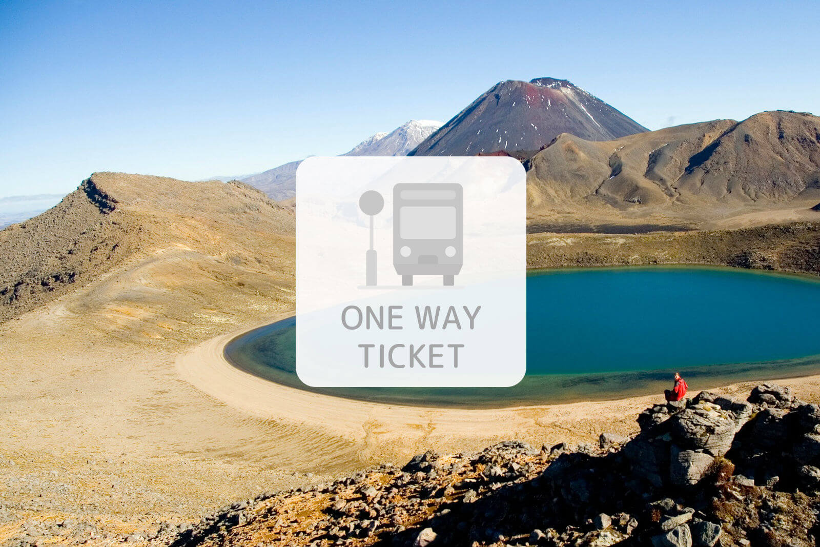 【紐西蘭自助必備】奧克蘭-東加里羅國家公園巴士交通票｜自由搭配去程返程 TWD 1,702起 | Jourtrip