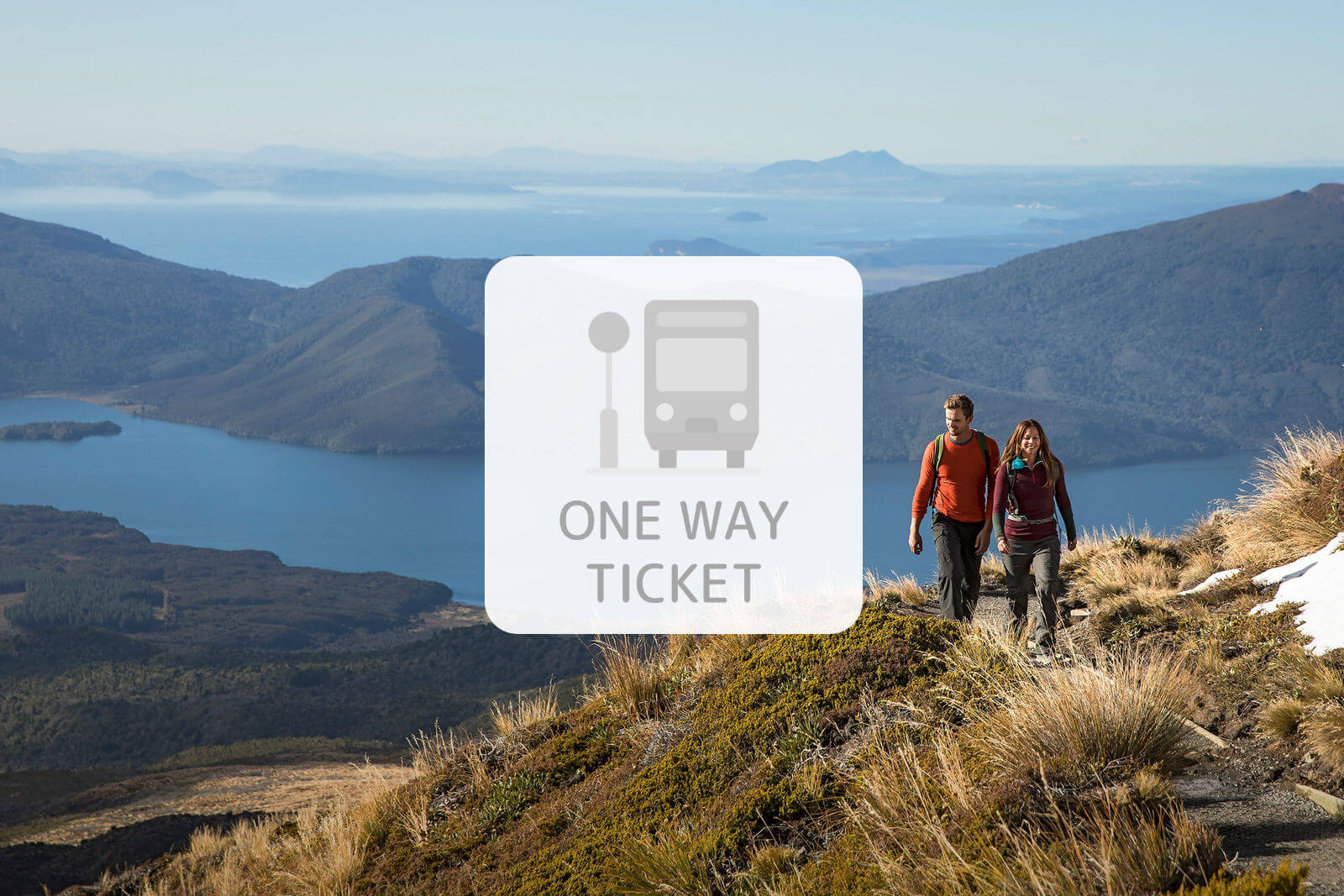 【紐西蘭自助必備】威靈頓-東加里羅國家公園｜自由搭配去程返程 TWD 1,702起 | Jourtrip